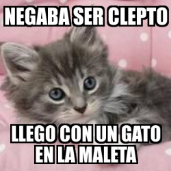 Meme Personalizado - negaba ser clepto llego con un gato en la maleta ...