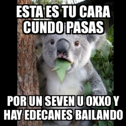 Meme Koala - esta es tu cara cundo pasas por un seven u oxxo y hay ...