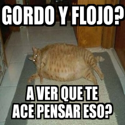 Meme Personalizado - gordo y flojo? a ver que te ace pensar eso? - 631974