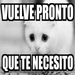 Meme Personalizado - Vuelve Pronto Que Te Necesito - 655579