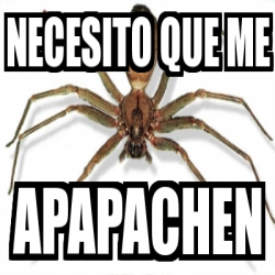 Meme Personalizado - necesito que me apapachen - 660641