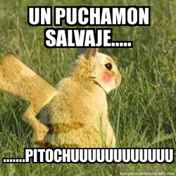 Meme Personalizado - un puchamon salvaje..... .......pitochuuuuuuuuuuuu ...