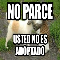 Meme Personalizado - No Parce Usted No Es Adoptado - 679470