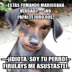 Meme Personalizado - Estas fumando mariguana verdad?, â€”Â¡No, papÃ ...
