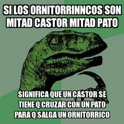 Memes Castores
