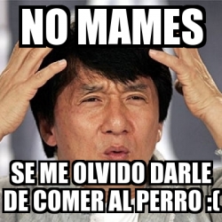 Meme Jackie Chan - no mames se me olvido darle de comer al perro :( - 78879