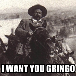 Meme Personalizado - i want you gringo - 703653