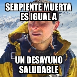 Meme Bear Grylls - serpiente muerta es igual a un desayuno saludable ...