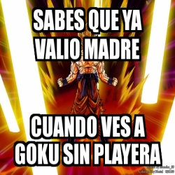 Meme Personalizado - sabes que ya valio madre cuando ves a goku sin ...