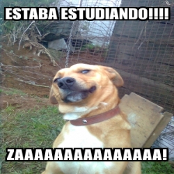Meme Personalizado - estaba estudiando!!!! zaaaaaaaaaaaaaaa! - 739824