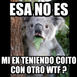 Meme Koala - esa no es mi ex teniendo coito con otro wtf ? - 740356