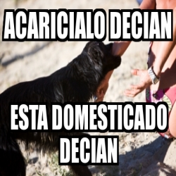 Meme Personalizado - Acaricialo decian esta domesticado decian - 777981
