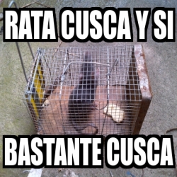 Meme Personalizado - rata cusca y si bastante cusca - 788034