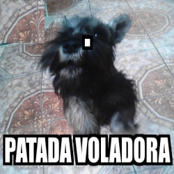Meme Personalizado - . PATADA VOLADORA - 795982