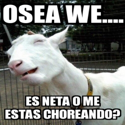 Meme Personalizado - osea we.... es neta o me estas choreando? - 847574