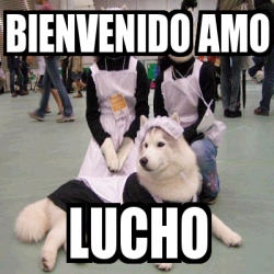 Meme Personalizado - Bienvenido Amo Lucho - 935744