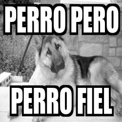 Meme Personalizado - perro pero perro fiel - 950482