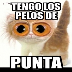 Meme Personalizado - tengo los pelos de punta - 1000682
