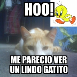 Meme Personalizado - hoo! me parecio ver un lindo gatito - 1006413