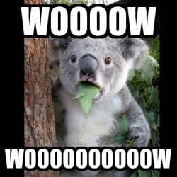Meme Koala - woooow woooooooooow - 1010096