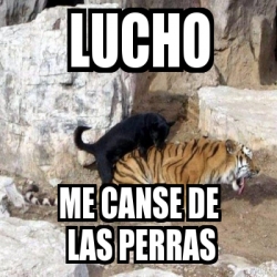 Meme Personalizado - lucho me canse de las perras - 1129936