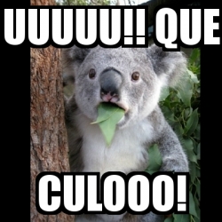 Meme Koala - uuuuu!! que culooo! - 1164502