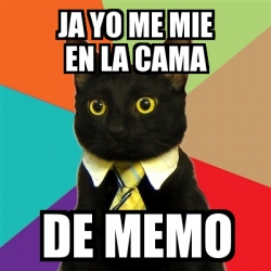 Meme Business Cat - ja yo me mie en la cama de memo - 1178724
