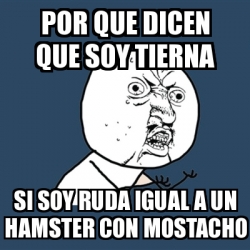 Meme Y U No - por que dicen que soy tierna si soy ruda igual a un ...