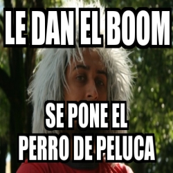Meme Personalizado - le dan el boom se pone el perro de peluca - 1022859