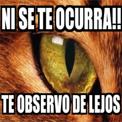 Meme Personalizado - ni se te ocurra!! te observo de lejos - 1025883