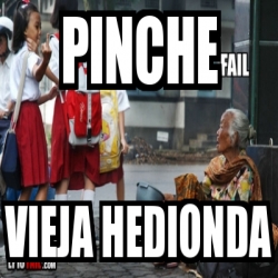 Meme Personalizado - PINCHE VIEJA HEDIONDA - 1211204