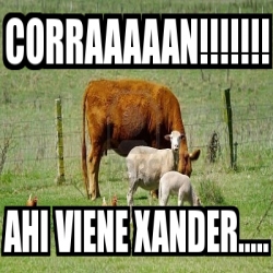 Meme Personalizado - corraaaaan!!!!!!! ahi viene xander..... - 1248171