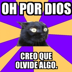 Meme Anxiety Cat - Oh por dios Creo que olvide algo. - 1286017