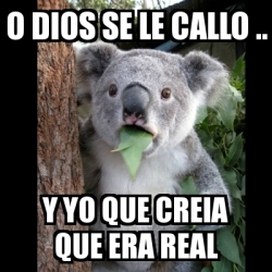 Meme Koala - O DIOS SE LE CALLO .. Y YO QUE CREIA QUE ERA REAL - 1290329