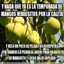 Meme Personalizado - y nada que ya es la temporada de mangos verdesitos ...