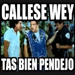 Meme Personalizado - callese wey tas bien pendejo - 1340305