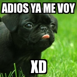 Meme Personalizado - adios ya me voy xd - 1355265