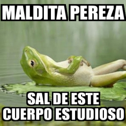 Meme Personalizado - maldita pereza sal de este cuerpo estudioso - 1377226