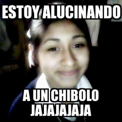 Meme Personalizado - Estoy alucinando a un chibolo JAJAJAJAJA - 1042541