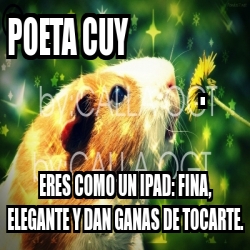 Meme Personalizado - POETA CUY . Eres como un iPad: fina, elegante y ...