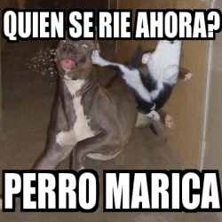 Meme Personalizado - QUIEN SE RIE AHORA? PERRO MARICA - 1422020