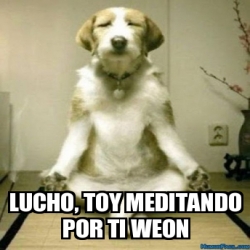 Meme Personalizado - lucho, toy meditando por ti weon - 1452736