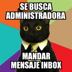 Meme Business Cat - se busca administradora mandar mensaje inbox - 1467667