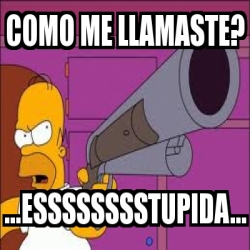Meme Personalizado - como me llamaste? ...esssssssstupida... - 1468478