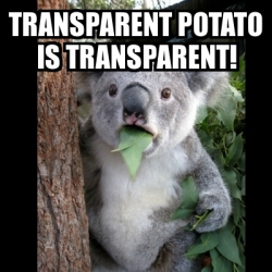 Meme Koala - Transparent potato is transparent! - 1472844