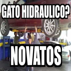 Meme Personalizado - gato hidraulico? NOVATOS - 1479806