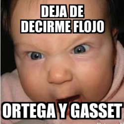 Meme Bebe furioso - deja de decirme flojo ortega y gasset - 1492135