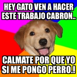 Meme Advice Dog - hey gato ven a hacer este trabajo cabron.. calmate ...