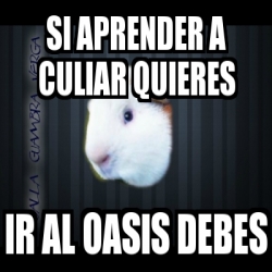 Meme Personalizado - SI APRENDER A CULIAR QUIERES IR AL OASIS DEBES ...