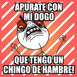 Meme I Hate - apurate con mi dogo que tengo un chingo de hambre! - 1558957